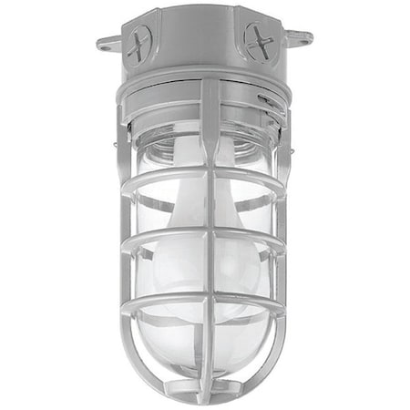 Carlon Outdoor Light, 120 VAC, 150 W, Incandescent Lamp, Die-Cast ...