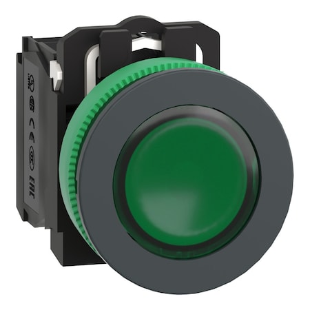 Schneider Electric Illuminated Push Button, 30 mm, 1NO/1NC, Green XB5FW33G5 | Zoro