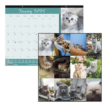 Blueline Pets Collection Monthly Desk Pad, 22 x 17, Furry Kittens, 2025 ...