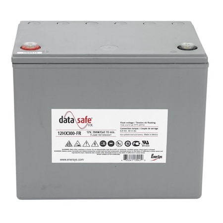 Enersys DataSafe 12V Battery with Hardware Pack HW867500 Group 24 ...