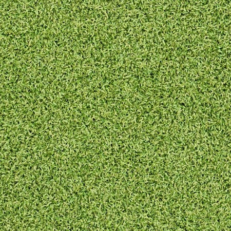 Msi Putting Green 15 ft. X 100 ft. X 16 Mm Artificial Grass Turf Full ...