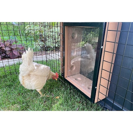 Chicken Condos Coop DeVille Chicken Coop With 4ft X 8ft X 48in Tall Run ...