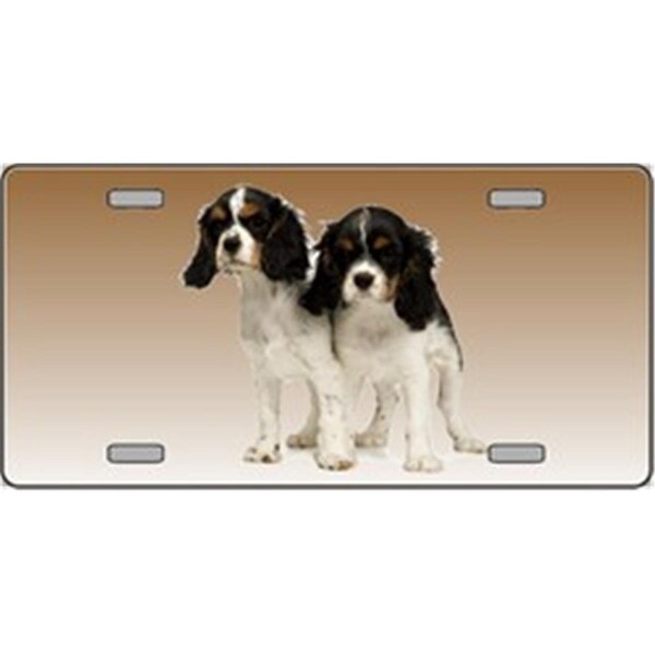 Powerhouse Cavalier King Charles Spaniel Dog Pet Novelty License Plates ...