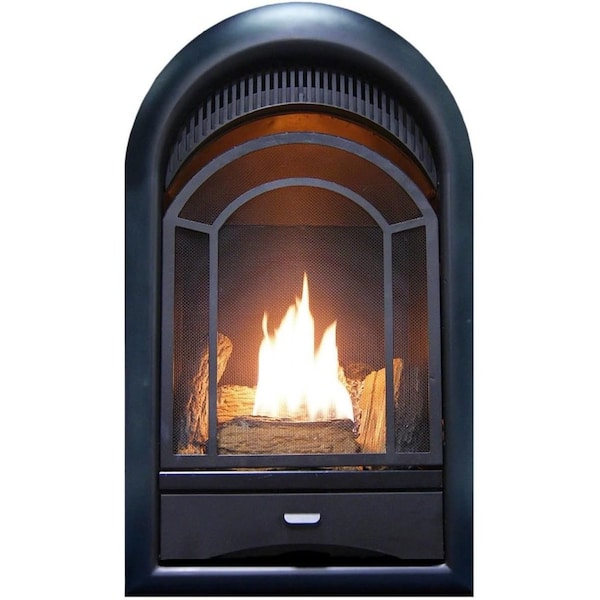 Procom Heating Dual Fuel Ventless Gas Fireplace Insert, Arched Door ...