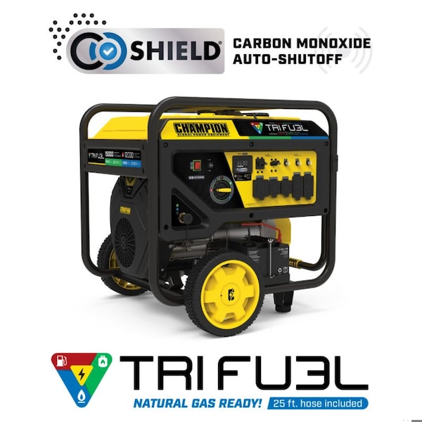 Champion Power Equipment Portable Generator, Gasoline/Natural Gas ...