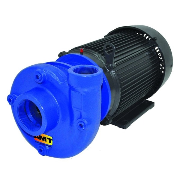 Amt Pump 3-in. x 2-in. Stainless Heavy Duty Straight w/ 10HP 3PH TEFC ...