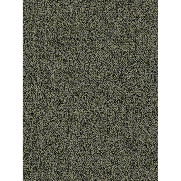 Pentz PENTZ Carpet Tile Tri-Color Level Loop Encore SDN - 24" x 24 ...