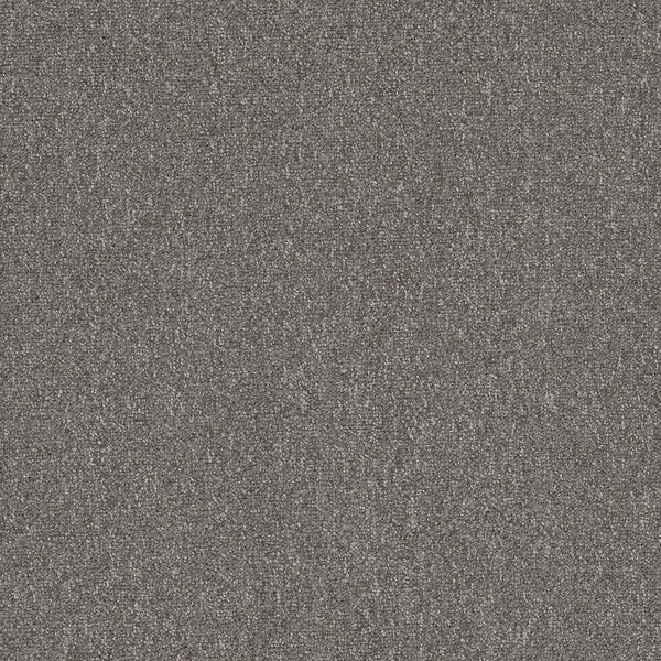 Pentz PENTZ Carpet Tile Heavy-Duty Heathered ENCORE SDN Level Loop - 24 ...