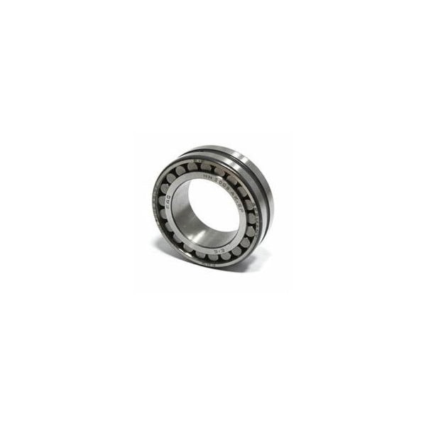 Fag Bearings Super precision Cylindrial Roller Bearing - double row ...