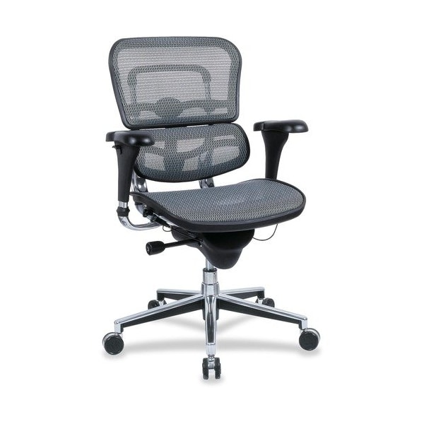 Eurotech - The Raynor Group Chair, Ergohuman Mid-Back, 26-1 ...