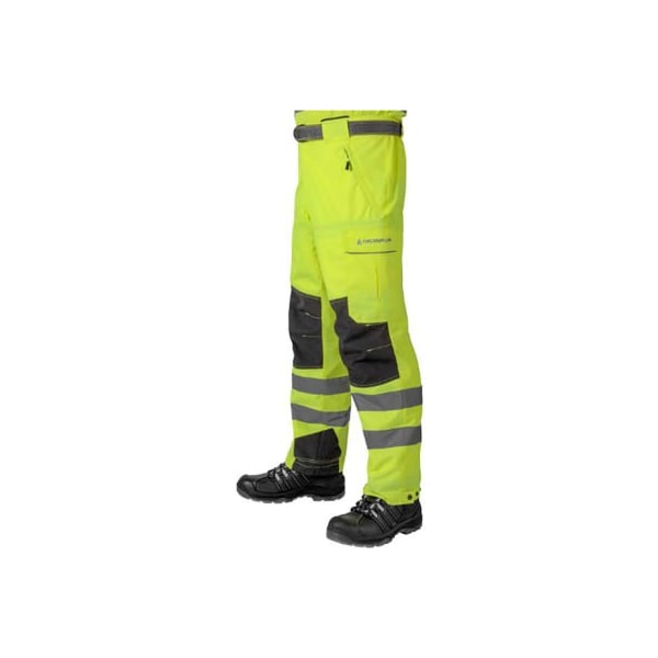 Delta Plus Delta Plus ArborPants Chainsaw Pants ISEA-ANSI 107, Class 3 ...