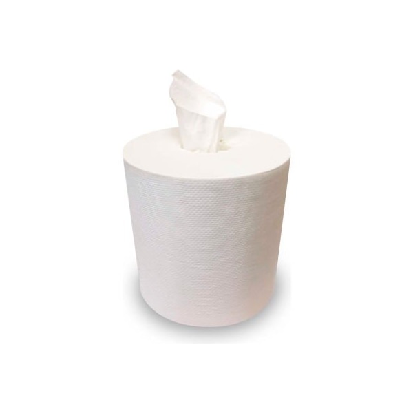 Nittany Paper Mills. Center Pull Paper Towels, 2 Ply, 600 Sheets, White ...