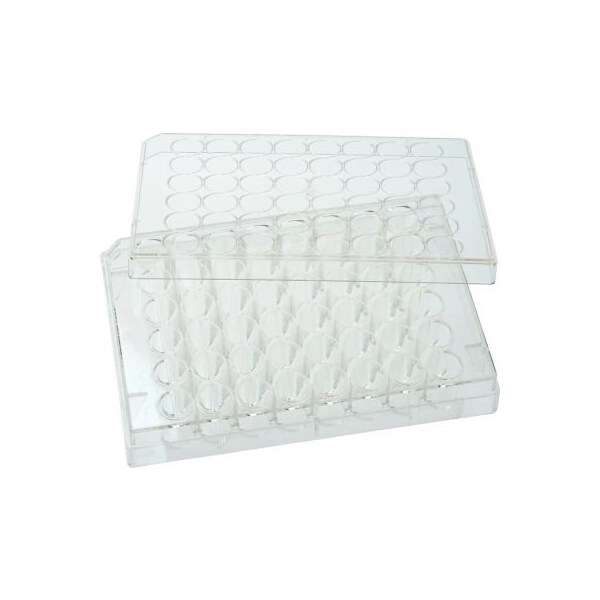 Celltreat CELLTREAT 48 Well Tissue Culture Plate with Lid, Individual ...
