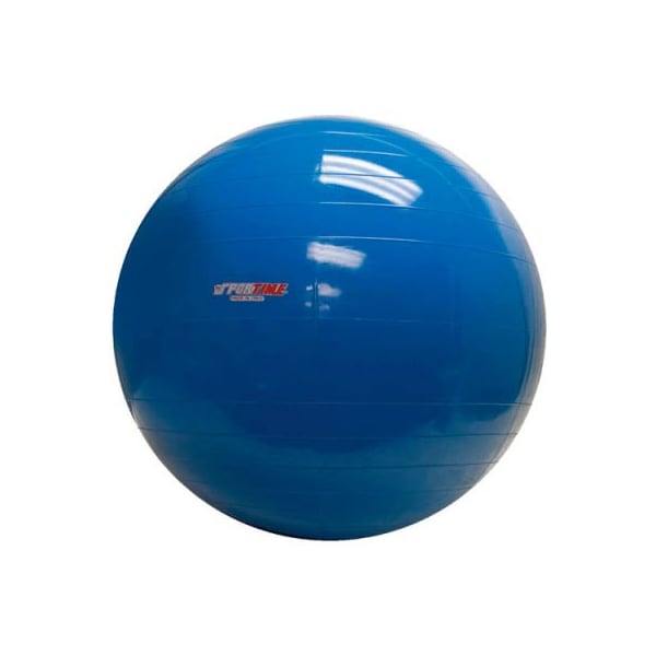 Fabrication Enterprises PhysioGymnic Molded Vinyl Inflatable Exercise ...
