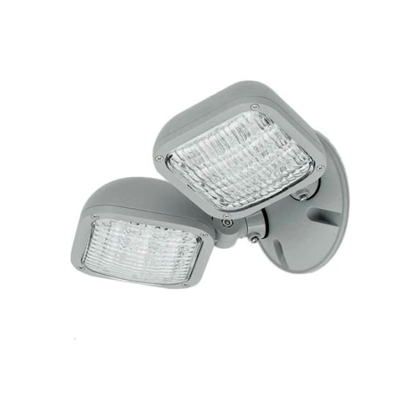 Hubbell Lighting Hubbell Outdoor Dual Head Remote LED Fixture, Use with ...
