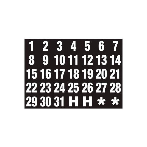 Magna Visual Magnetic Headings Calendar Dates (1-31), White on Black FH ...