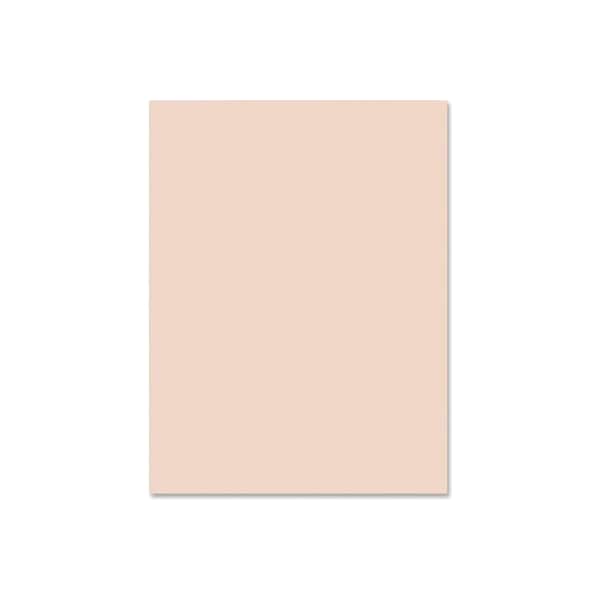 Pacon Corporation Pacon Heavyweight Tagboard, 18"W x 24"H, Manila, 100 ...