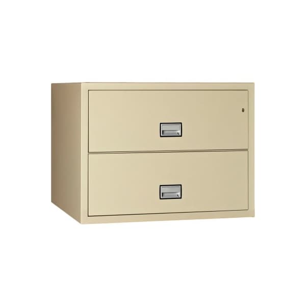 Phoenix Safe International Phoenix Safe Lateral 44" 2-Drawer Fire and ...