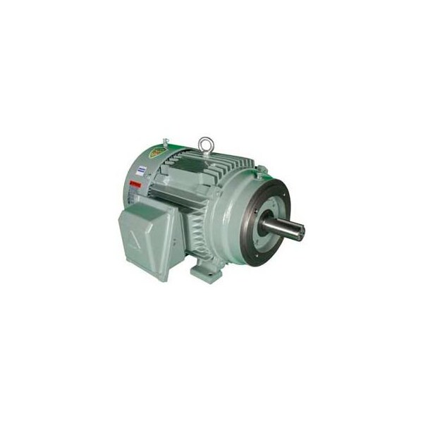 Worldwide Electric Hyundai T-Frame Motor IEEE20-36-256TC, TEFC, Rigid-C ...