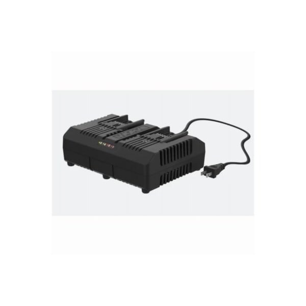 Positec Usa 20V LiIon Dual Charger WA3884 | Zoro