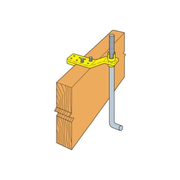 Simpson Strong-Tie Anchor Mate AM 1/2 | Zoro