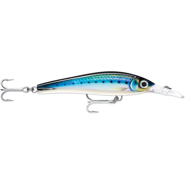 Rapala X-Rap® Magnum® Xtreme 6-1/4 HD Blue Sardine XRMAGXT160HDBSRD | Zoro