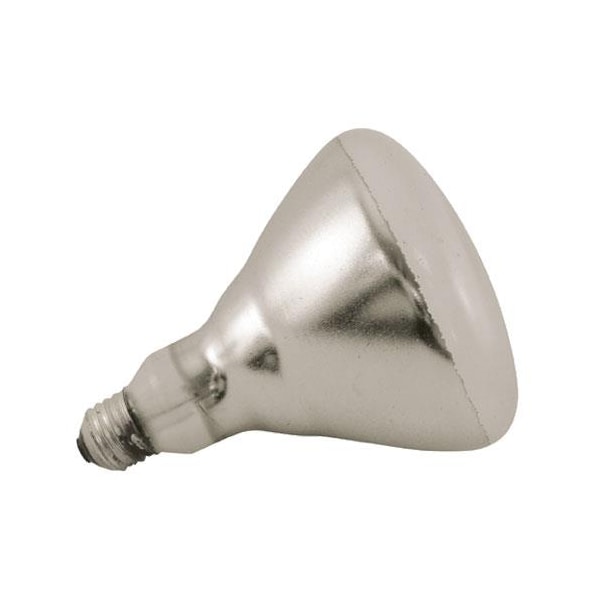 Norman Lamps 250 Watt Clear Shatterproof Heat Lamp Bulb PFA-250R40/1 | Zoro