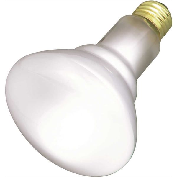 Satco 65-Watt BR30 Medium Base Flood Incandescent Light Bulb in Warm ...