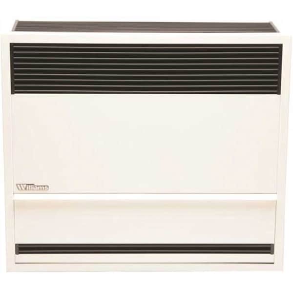 Williams 30,000 BTUH 66% AFUE Direct-Vent Propane Gas Gravity Wall ...