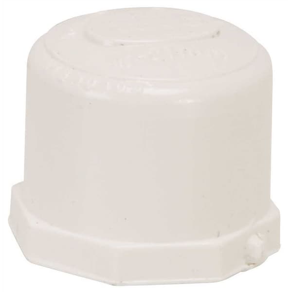 Proplus PVC SLIP CAP, 1 IN 2901354 | Zoro