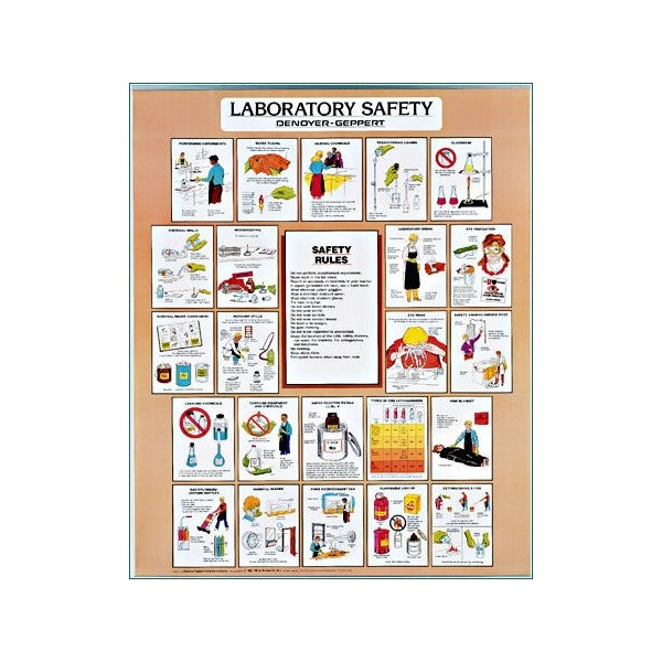 Denoyer-Geppert Charts/Posters, Lab Safety Chart Mounted pack of 3 2027 ...