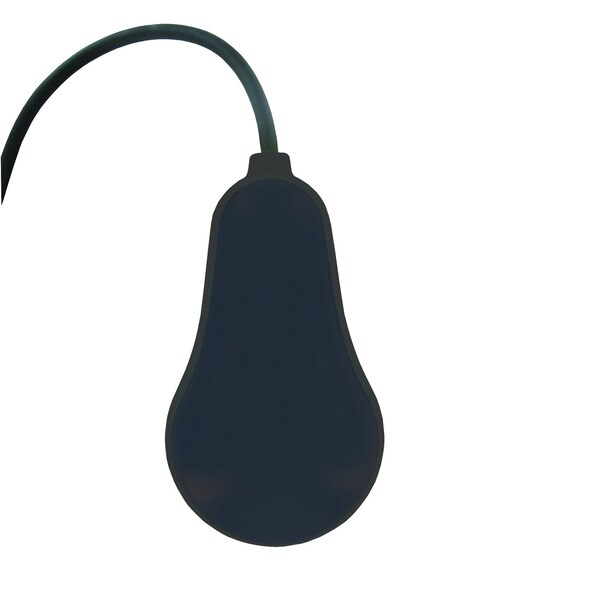 Dwyer Instruments Vane Flow Switch, Paddle Flow Sw Npt Conn FS-2 | Zoro