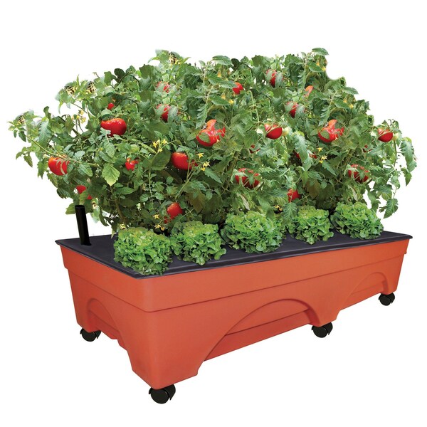 Emsco Group Big Raised Bed Grow Box, Self Watering and Aeration, Mobile ...