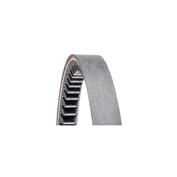 Timken Belts Gold-Ribbon Cog-Belt Heavy Duty Gold Ribbon V-Belt, BX ...