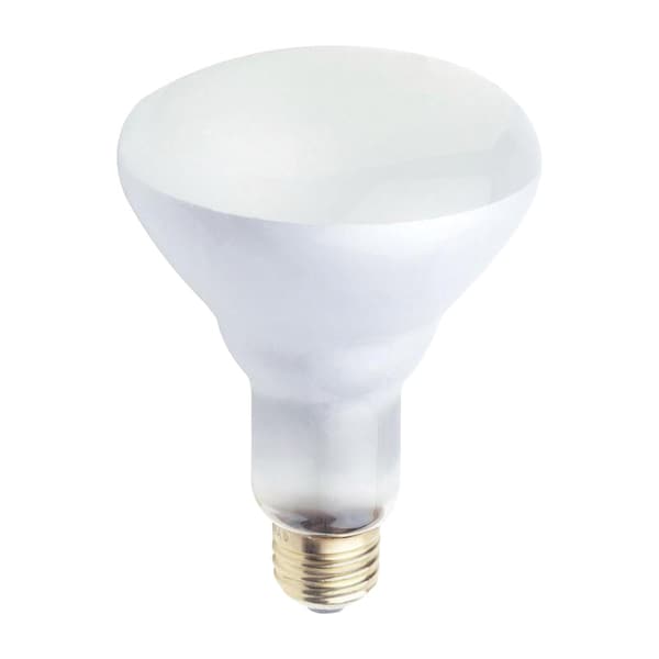 Westinghouse Bulb-Spot Br30 65Watt 03647 | Zoro