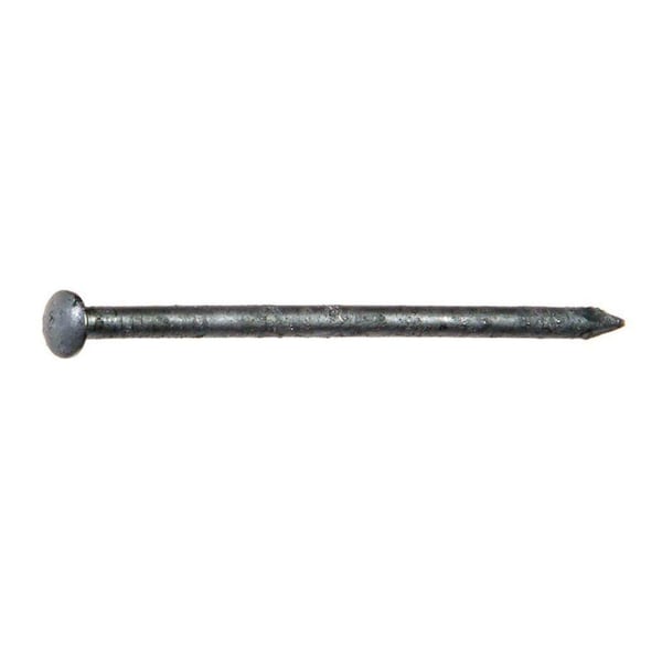 Grip-Rite Common Nail, 2-1/2 in L, 8D, Steel, Hot Dipped Galvanized ...