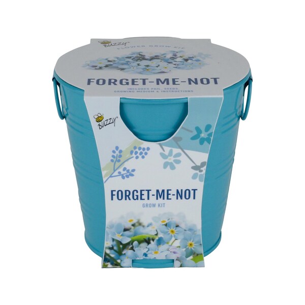Buzzy Seeds Buzzy Forget Me Not Grow Kit 95865 | Zoro