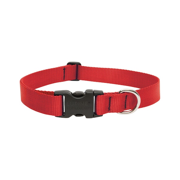 Lupine Pet Basic Solids Red Red Nylon Dog Adjustable Collar 22553 | Zoro