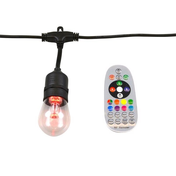 Living Accents LED Vintage S14 Color Changing Light Set Multicolored 20 ...