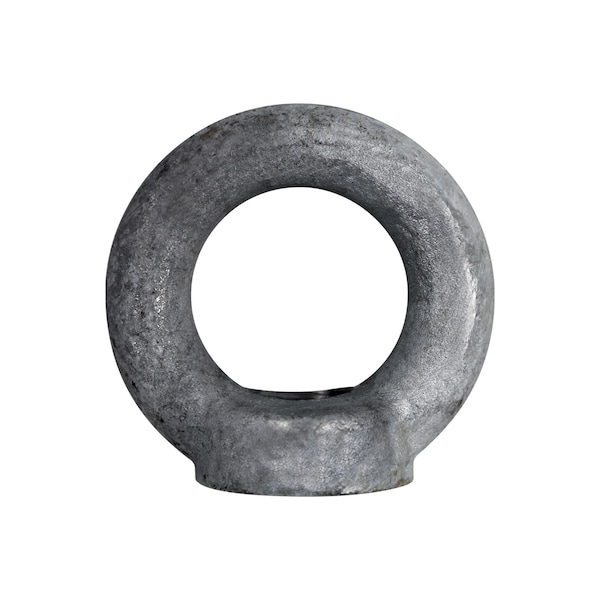 Aztec Lifting Hardware Round Eye Nut, M10-1.50 Thread Size, Carbon ...