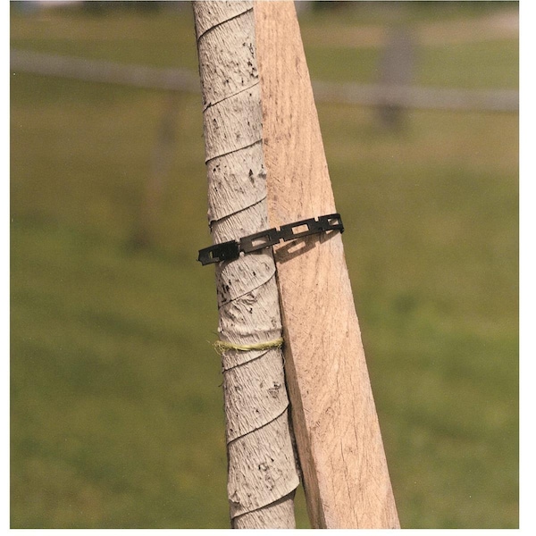 Dimex ProLock Chain-Lock Tree Tie 1102 | Zoro