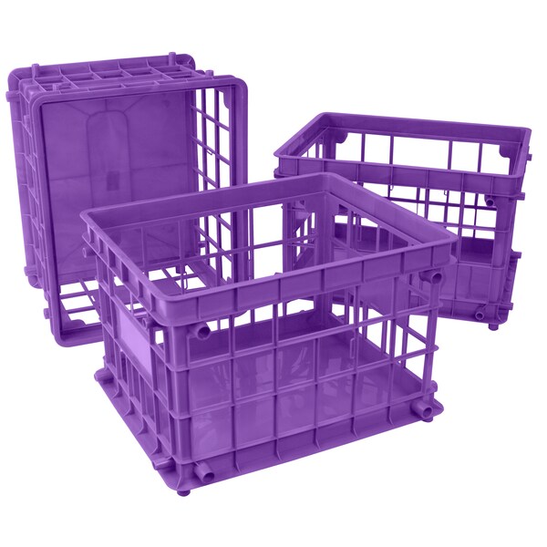 Storex File Crate, Purple, PK3 61499U03C | Zoro