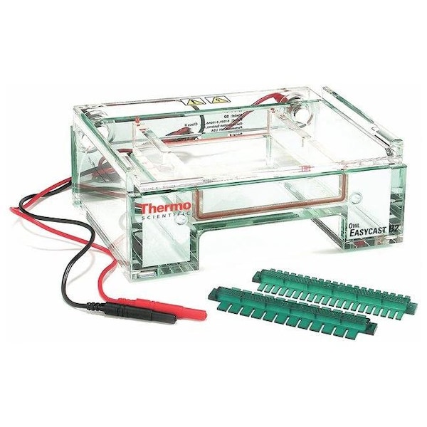 Thermo Fisher Scientific Asheville Owl Gasketed Uvt Gel Tray B2-UVT | Zoro