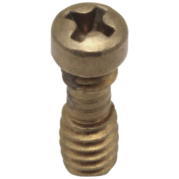 Delta Delta Retention Screws, 2, 1/2" RP20185 | Zoro