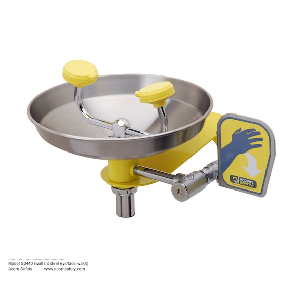 ACORN SAFETY Wall-Mounted Eyewash Station with Stainless Steel Bowl ...