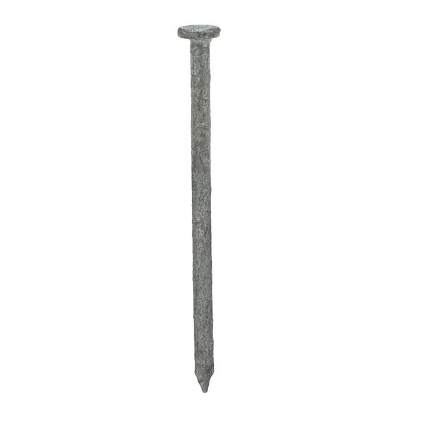 Zoro Select Common Nail, 2-1/2 in L, 8D, Steel, Galvanized Finish, 10. ...