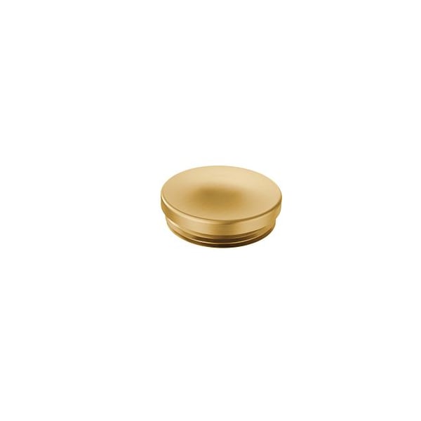 Moen Hinge Pin Caps 130966BG | Zoro