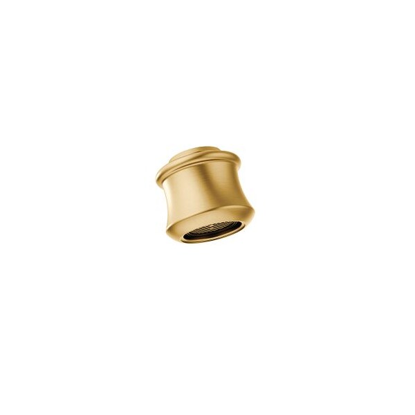 Moen Aerator Kit 164488BG | Zoro