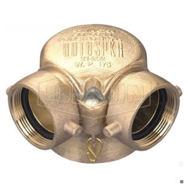 Dixon Siamese Connection Bottom Outlet Single Clapper, 2-1/2 x 4 in ...