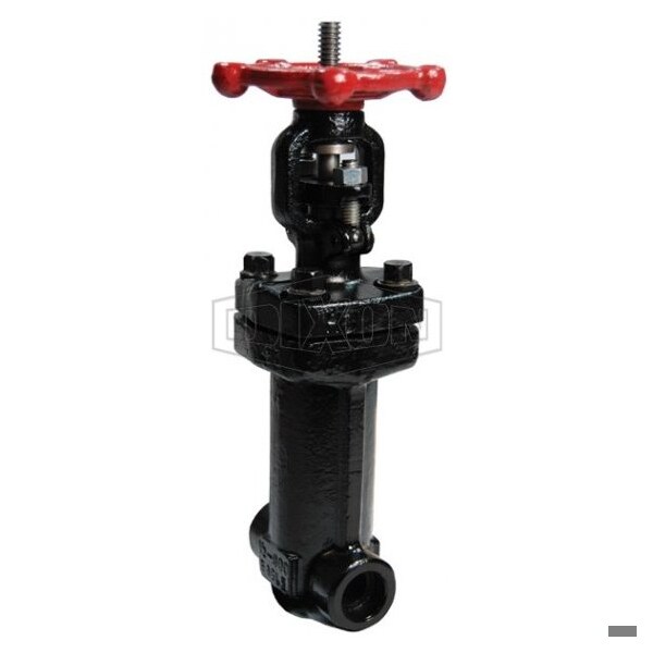 Dixon VALVE GATE EAGLE API602 1-150 RF F316L W8SF1100 | Zoro